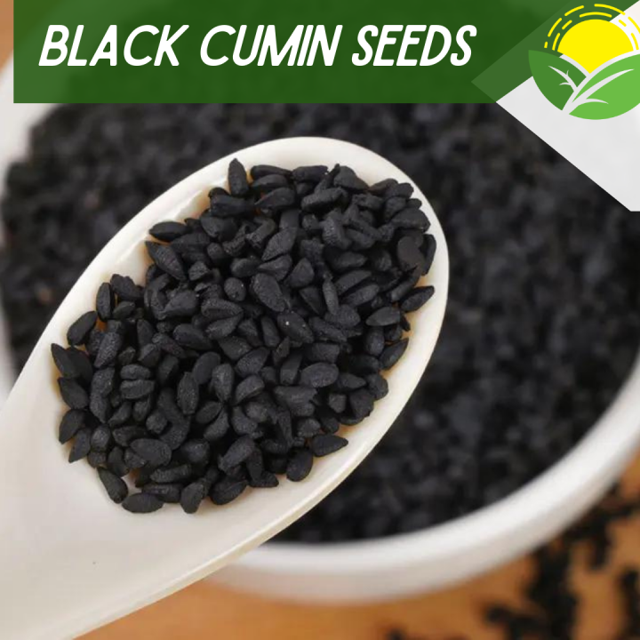 Black Cumin Seeds (Organic) exp. 09/2024 | Lazada PH
