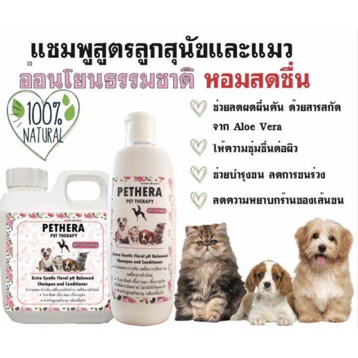 🛑แชมพู Pethera สูตรลูกสุนัข/ลูกแมว🛑ผิวแพ้ง่าย เชื้อราสุนัขแมวเด็ก ลดผด ...