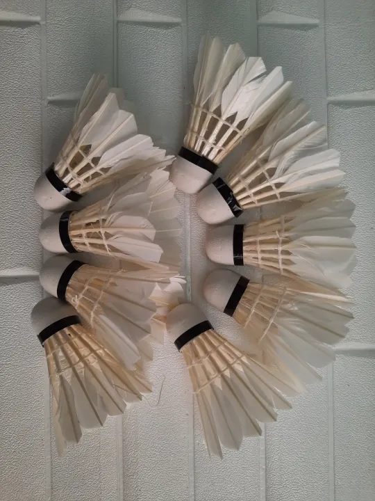 Shuttle Cock 1 dozen | Lazada PH