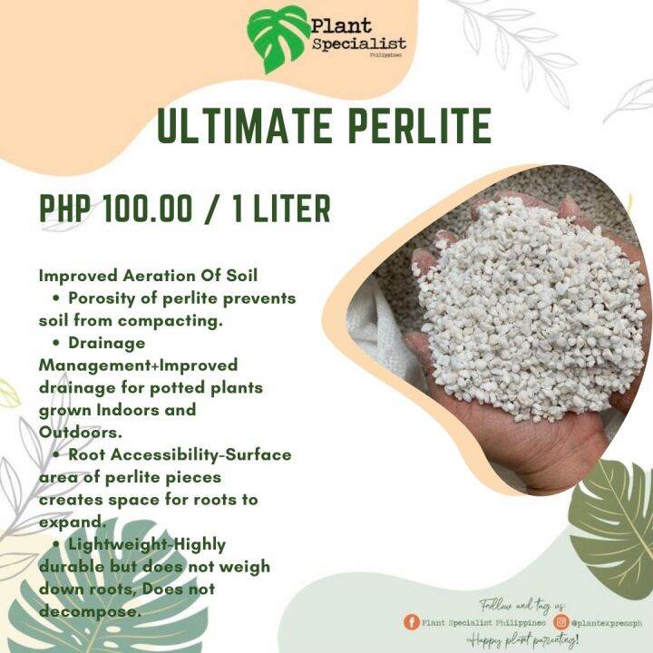 Ultimate Perlite Soil | Lazada PH