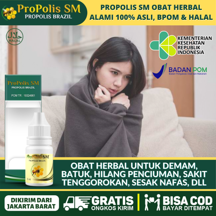 Obat Demam Tinggi Herbal Alami, Batuk, Sesak Nafas, Hidung Tidak Bisa ...