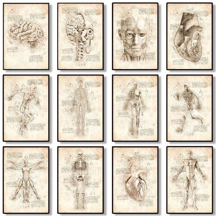 Anatomy and Physiology The Body Structure Poster Retro Room Medical ...