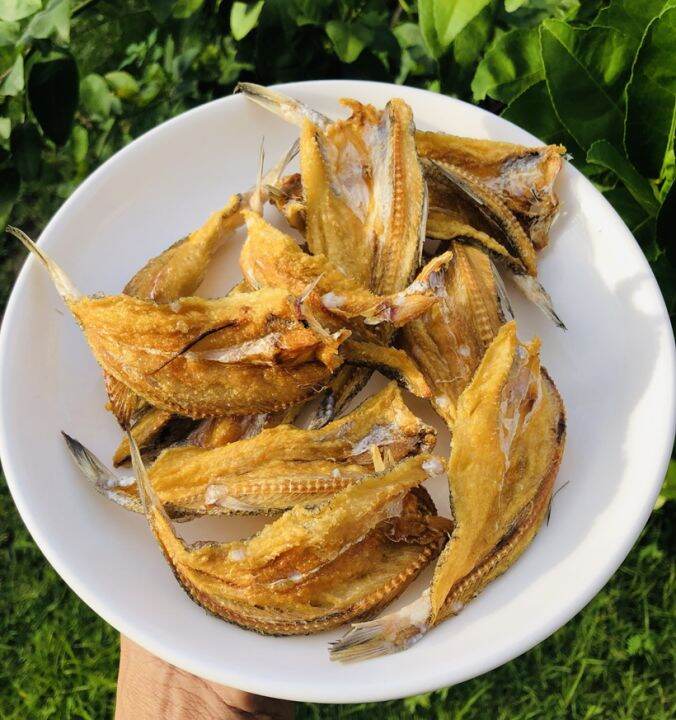 ปลาซ่อนทะเล 2 แดด (ยังไม่ทอด) > คละไซค์ 500 กรัม ปลาซ่อนทะเลแห้ง ไม่ ...