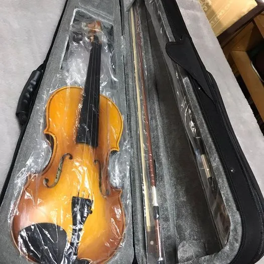 EASTAR VIOLIN 4/4 FULL SIZE | Lazada PH
