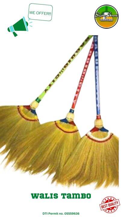 Walis Tambo Soft Broom Baguio Salay, Makapal, Jumbo | Lazada PH