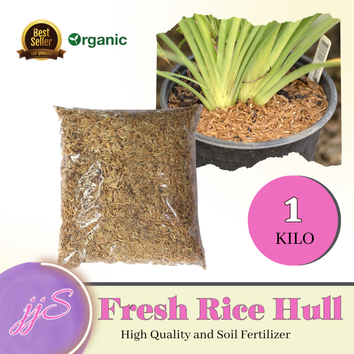 1KG Fresh Rice Hull primary Loam Soil Component Environmentally ...