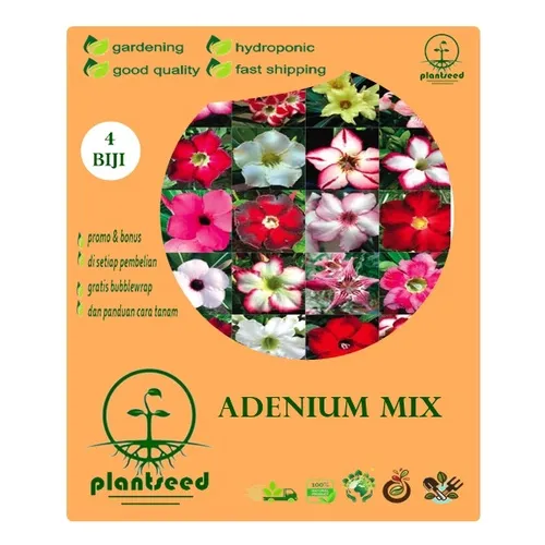 biji benih bunga adenium mix (benih random tidak bisa pilih warna) 4 ...