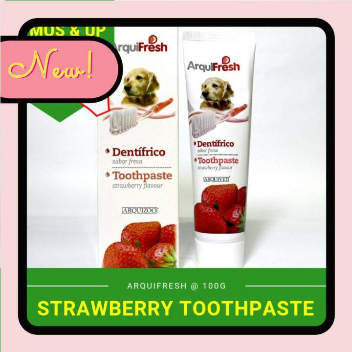Strawberry flavored Toothpaste for Dogs (100g)（Quality Goods） | Lazada PH