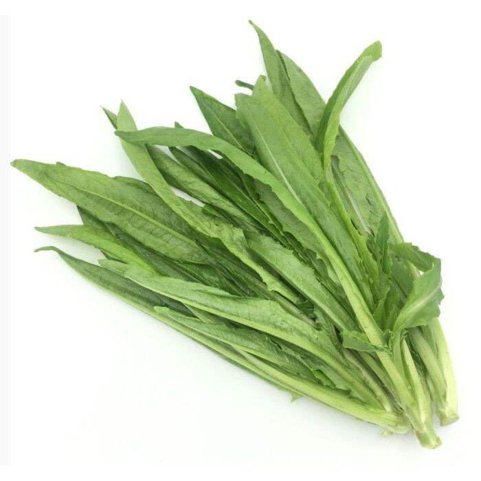 Chinese Romaine or Cos Leaf Lettuce Variety Vegetable Seeds ( 50 seeds ...