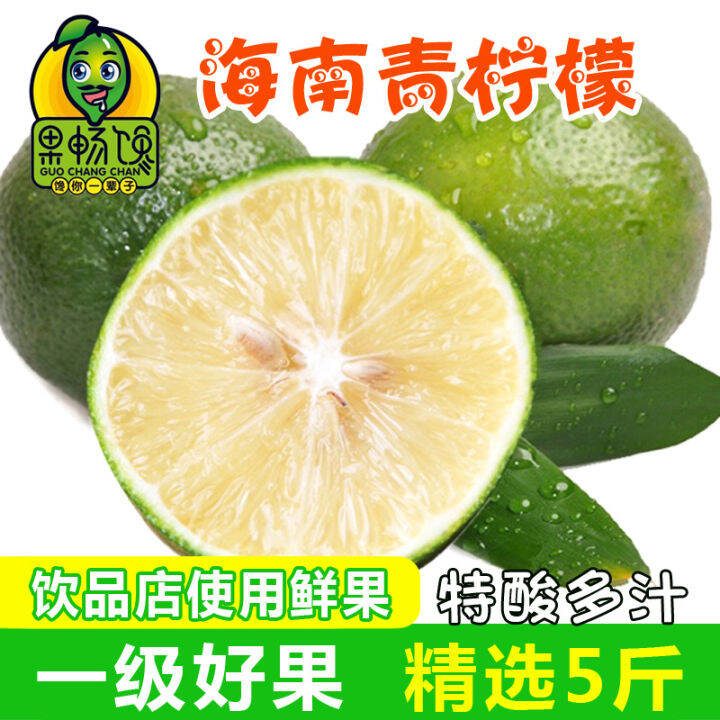 Hainan seedless green lemon fresh 5 kg first-class good fruit perfume ...