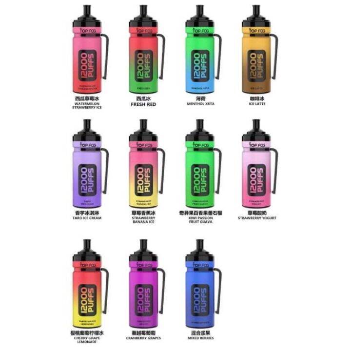 VAPE Top Fog 12000 Puffs (Enjoy Alladin Inspired) Disposable Vape Pod ...