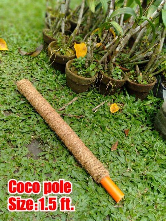 PVC TYPE 1.5FT COCO POLE | 1.5ft Best Hand made Coco Pole| Plant ...