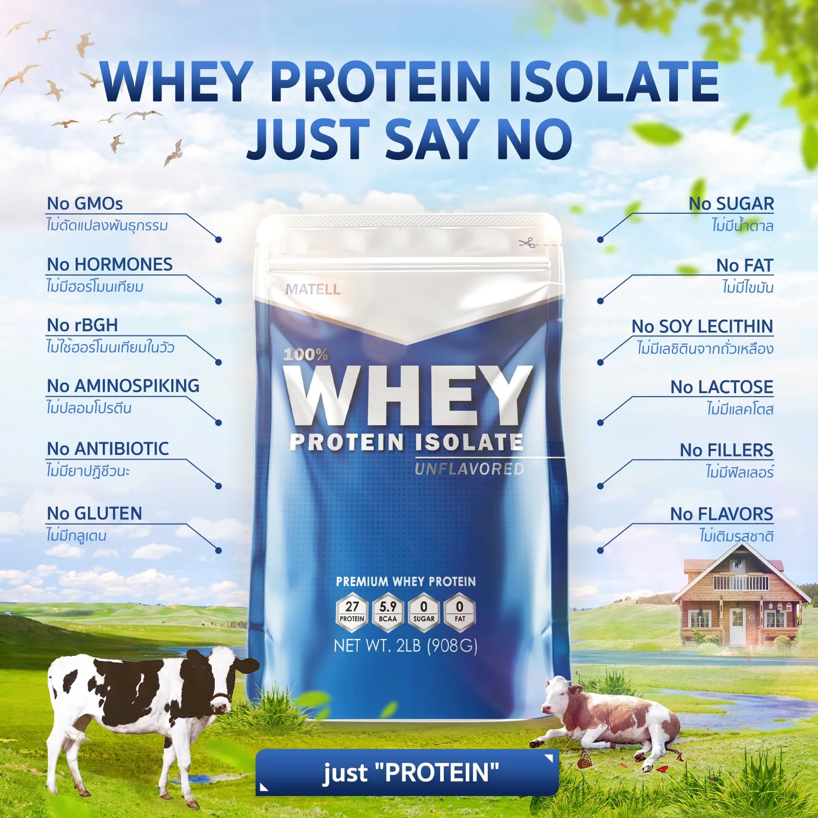 MATELL Whey Protein Isolate เวย์ โปรตีน ไอโซเลท Non Soy ไม่มีซอย ผสม ...