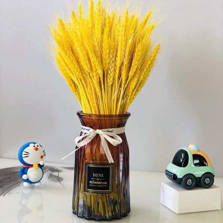 (Có Hỏa Tốc) Bông Lúa Mạch Trang Trí, Bông Lúa Vàng Tài Lộc, Bó Lúa ...