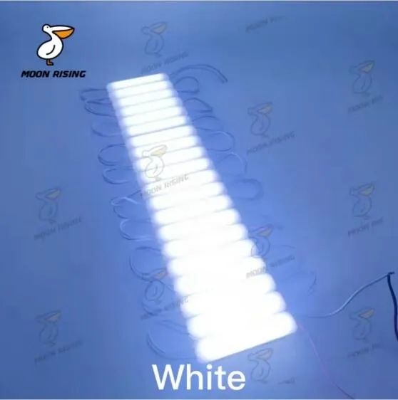 Lupe MOTORCYCLE MILKY DEISGN MODULE LED SUPER BRIGHT COB ULTRASONIC LED ...