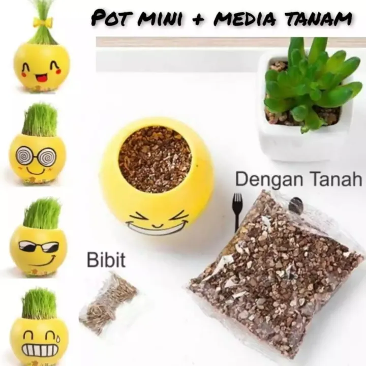 RALALI - Tanaman Pot Rumput Mini Emoticon Lucu,- Vas Tanaman Horta Lucu ...