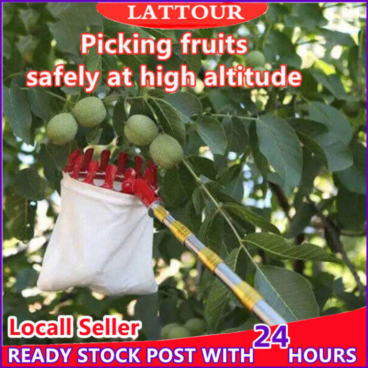 Stainless Steel Fruit Picker High-altitude Fruit Picking Rod Adjustable ...