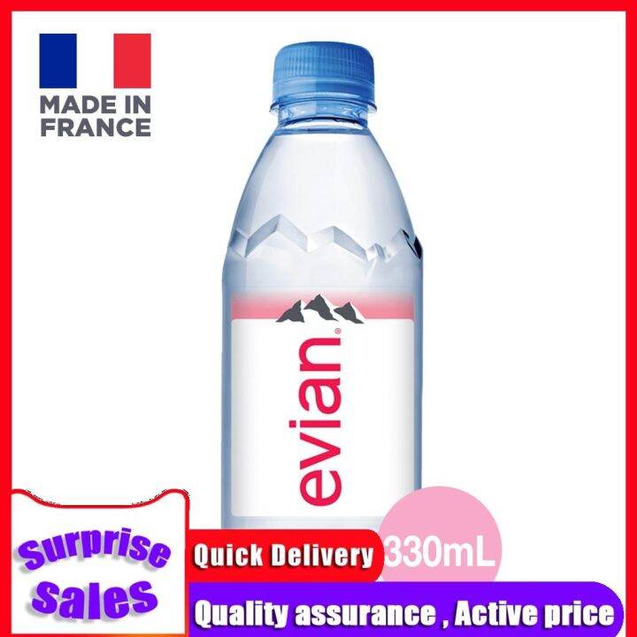 EVIAN Natural Mineral Water 330ml | Lazada PH