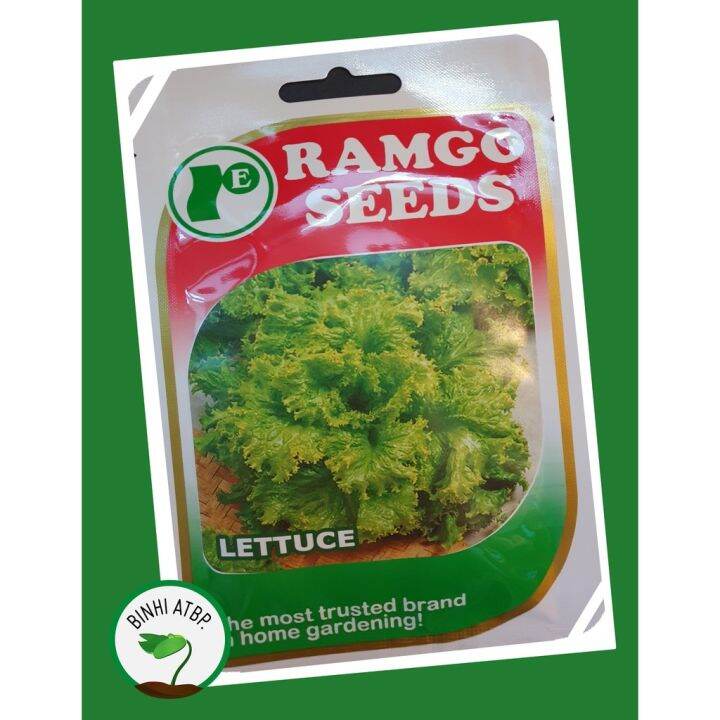 Ramgo Lettuce Black Simpson Seeds | Lazada PH