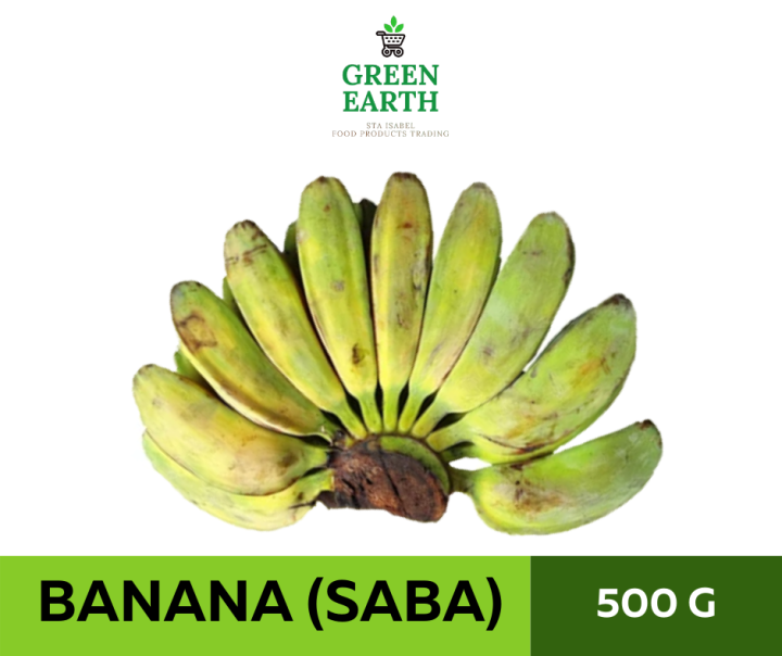 GREEN EARTH BANANA SABA - 500G | Lazada PH