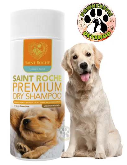 Saint Roche Premium Dry Shampoo 128g - Heaven Scent | Lazada PH