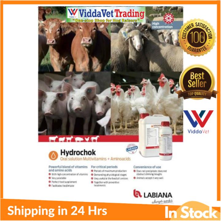 Hydrochock Labiana Spain Oral Solution Multivitamins + Amino Acids for ...