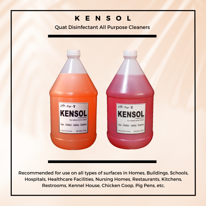 KENSOL QUAT DISINFECTANT CONCENTRATE | Lazada PH