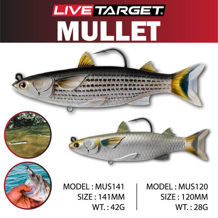 เหยื่อปลอม LIVE TARGET MULLET | Lazada.co.th