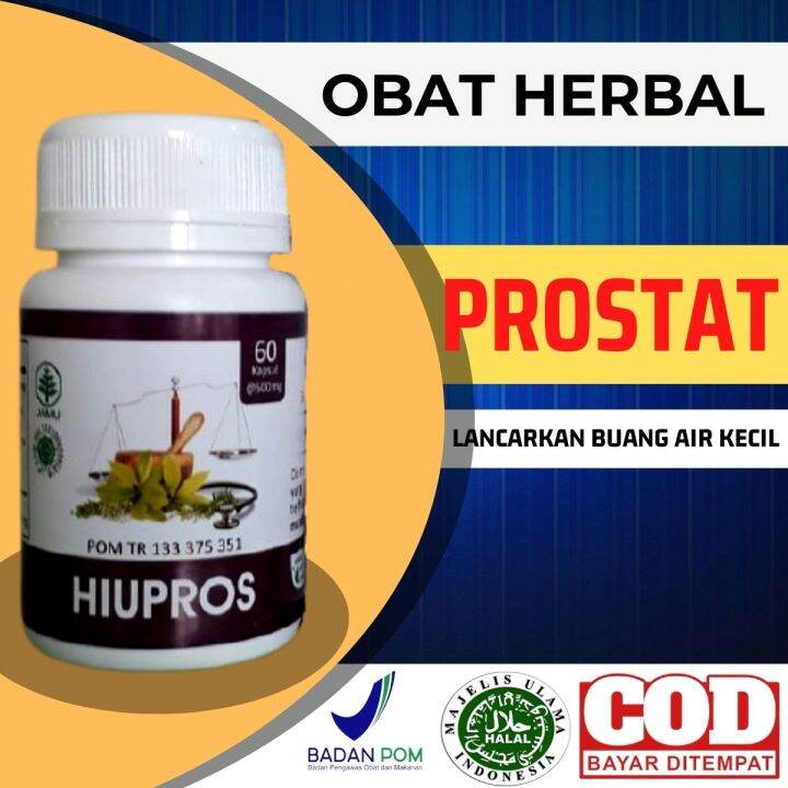Obat PROSTAT BerBPOM Prostat Bengkak Nyeri Biji Pelir Testis Bengkak ...