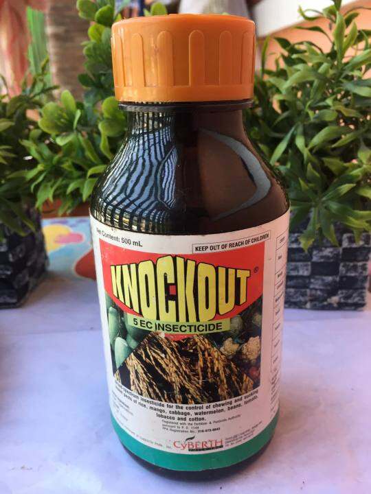 Knockout 5E Insecticide 500mL | Lazada PH