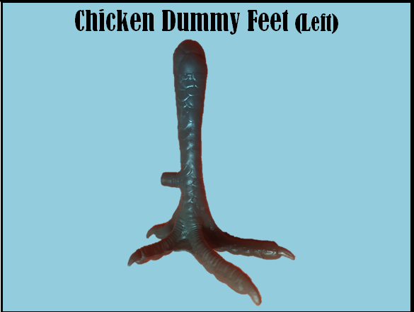Original Chicken Dummy Feet (Left Foot) (Rubber Made) / Pet Accessories ...