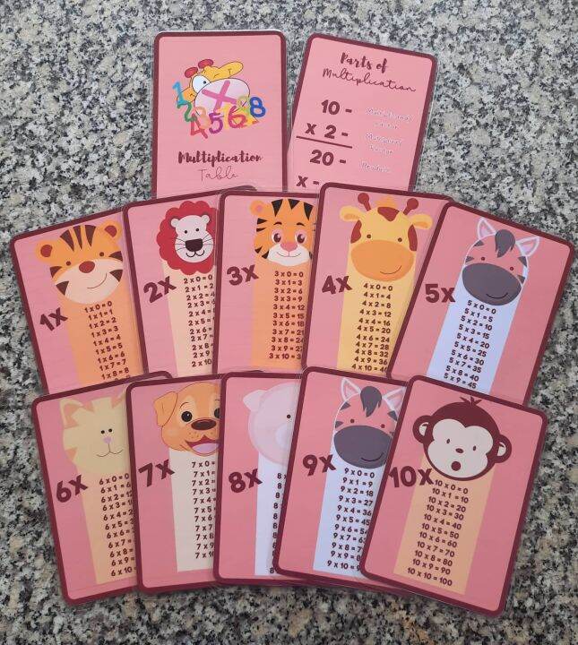 Laminated Multiplication Flashcard Educational Learning Materials in ...