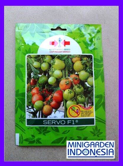 1 Pack 150 Benih Tomat Servo F1 Panah Merah Bibit tanaman sayur Sayuran ...