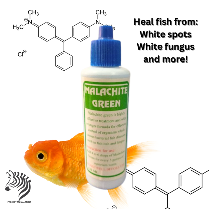 Malachite Green Anti-fungus & Anti-Itch Infection for Aquarium Fish ...