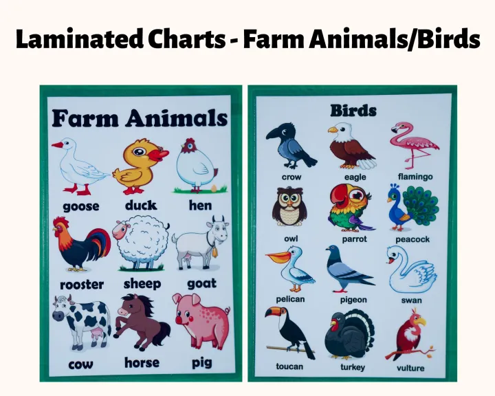 A4 Laminated Charts - Farm Animals/Birds/Pets/Insects/Pets/Wild Animals ...