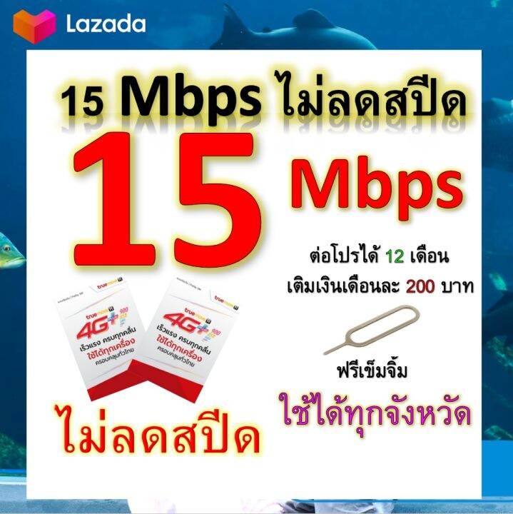 ซิมโปรเทพ 15 Mbps ไม่ลดสปีด เล่นไม่อั้น โทรฟรีทุกเครือข่ายได้ แถมฟรีเข็มจิ้มซิม | Lazada.co.th