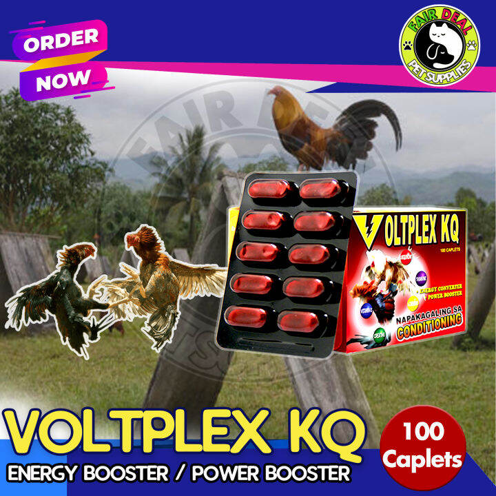 VOLTPLEX KQ ENERGY BOOSTER (100 Caplets) | Lazada PH