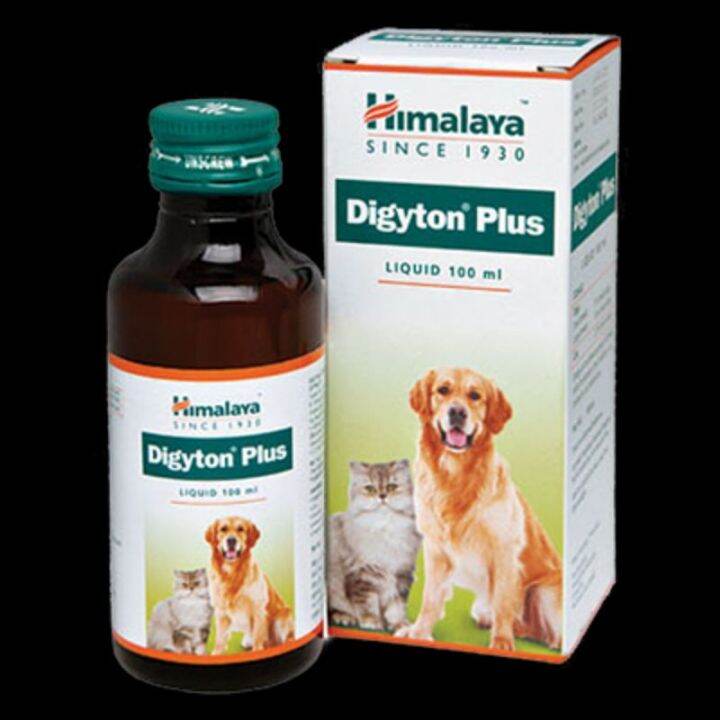 Himalaya Digyton Plus 100ml | Lazada PH