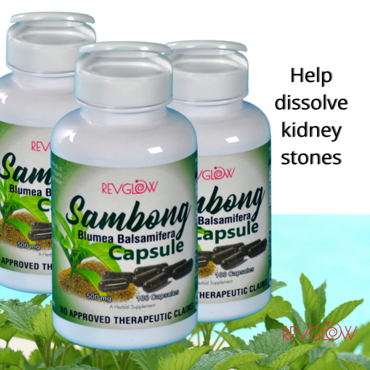 Revglow Sambong (3Bottle) 500mg 100 Capsule Herbal Supplement Kidney ...