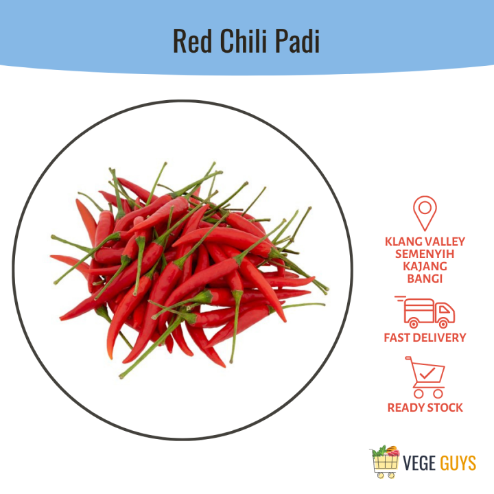 Red Chili Padi 辣椒 (+/-80g) | Lazada