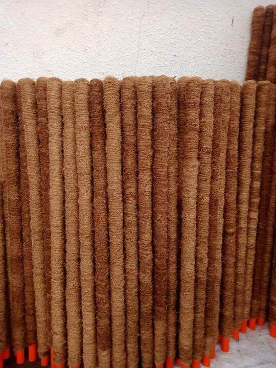 PVC TYPE 3FT COCOPOLE | 3ft Best Hand made Coco Pole| Plant Support ...