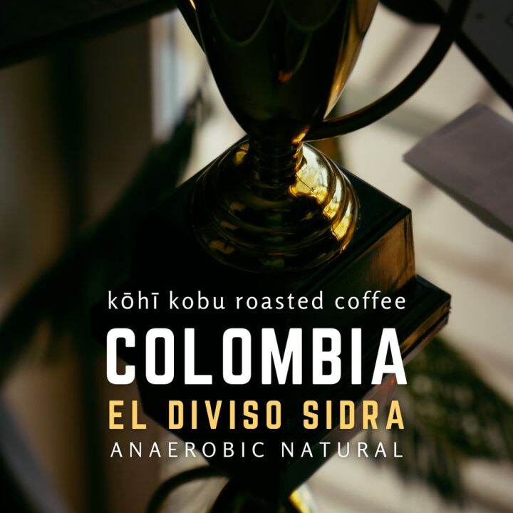 🏆 [มนต์สะกดของแชมป์โลก | จำนวนจำกัด!] Colombia El Diviso Sidra ...