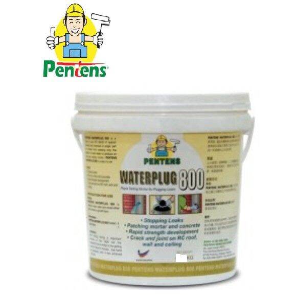 Pentens Waterplug 800 Rapid Setting Mortar for Plugging Leaks 1KG | Lazada