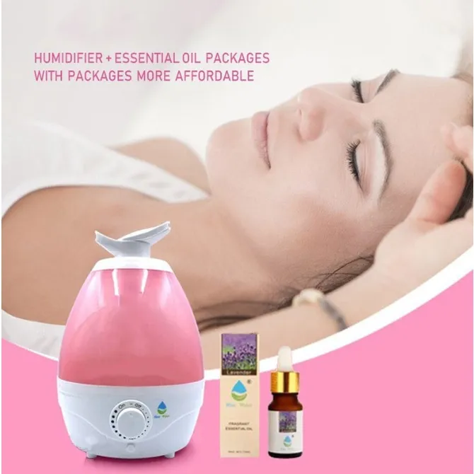 Double Nozzle Air Humidifier Ultrasonic wave Blue Water COD | Lazada PH