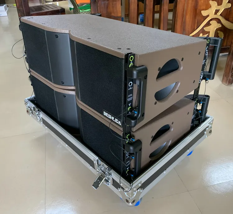 Shop around. Double 8-inch double 10-inch birch plywood linear array ...