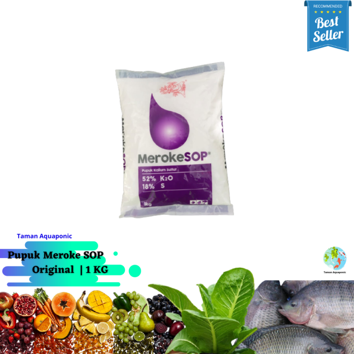 Pupuk Meroke SOP | Lazada Indonesia