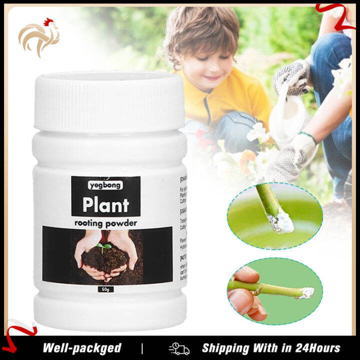Rooting Hormone Powder Plant Rapid Rooting Agent Comes with Spoon ...