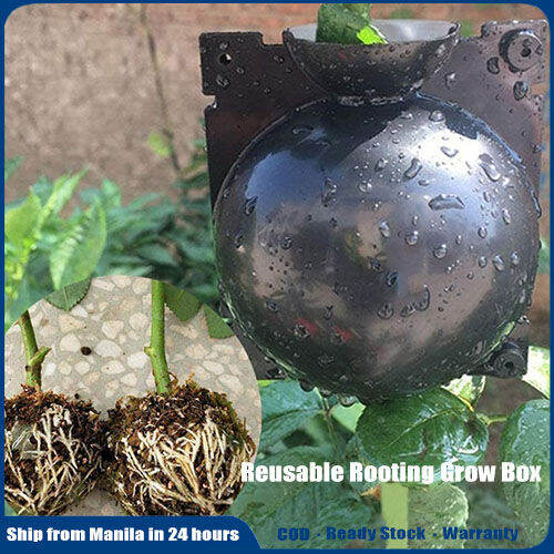 Reusable Plant Rooting Device Plant Rooting Grow Box High Pressure ... Reusable Plant Rooting Device Plant Rooting Grow Box High Pressure ...