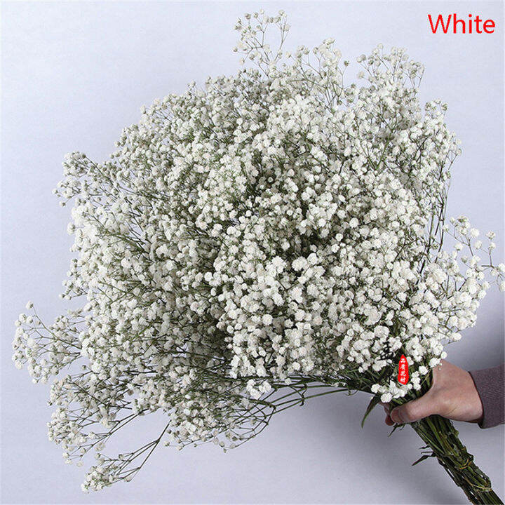 Picha Natural Fresh Dried Flowers Gypsophila Bouquet Wedding Home Decor ...