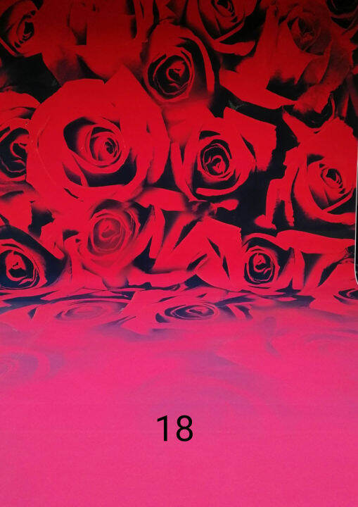 3M X 6M 18 Vinyl Backdrop Studio Photography Outdoor Photo Background ...